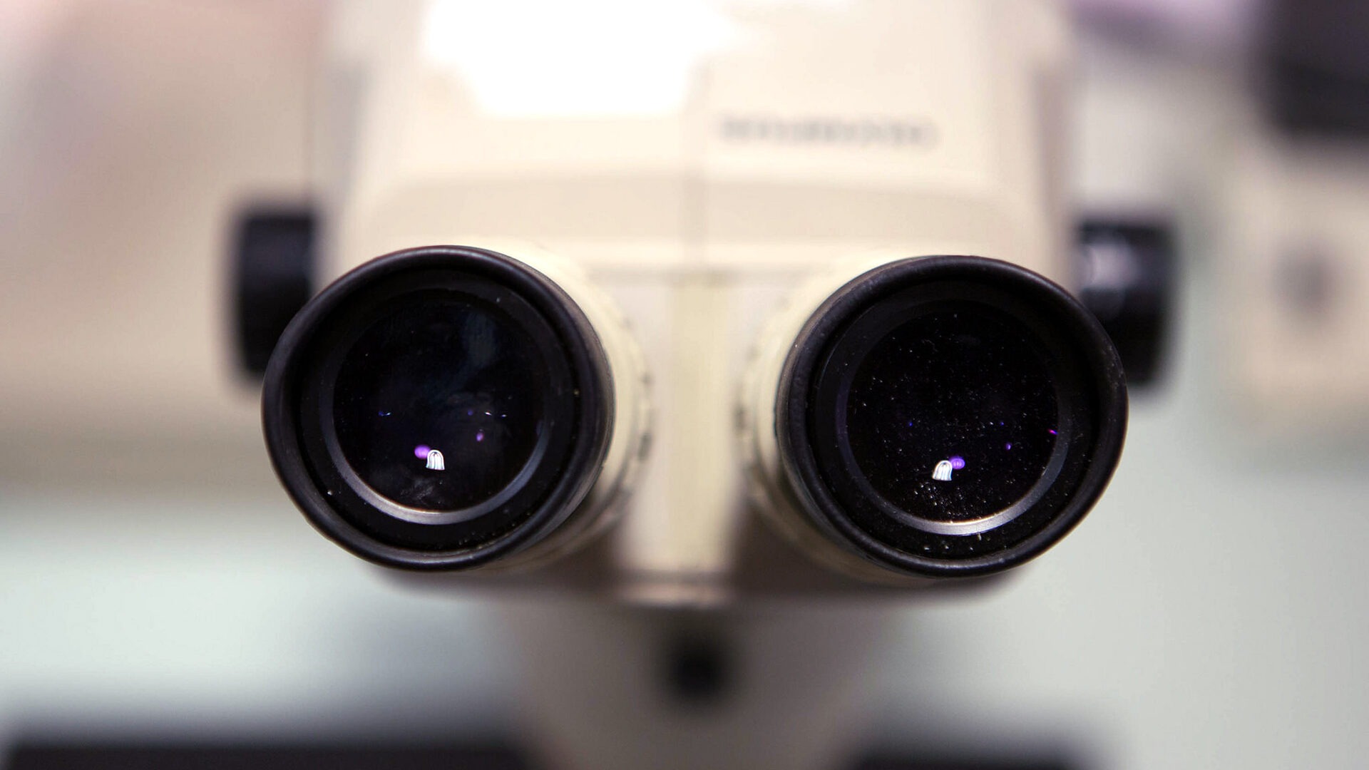 Thesis follow-up | ED562 - BioSpc